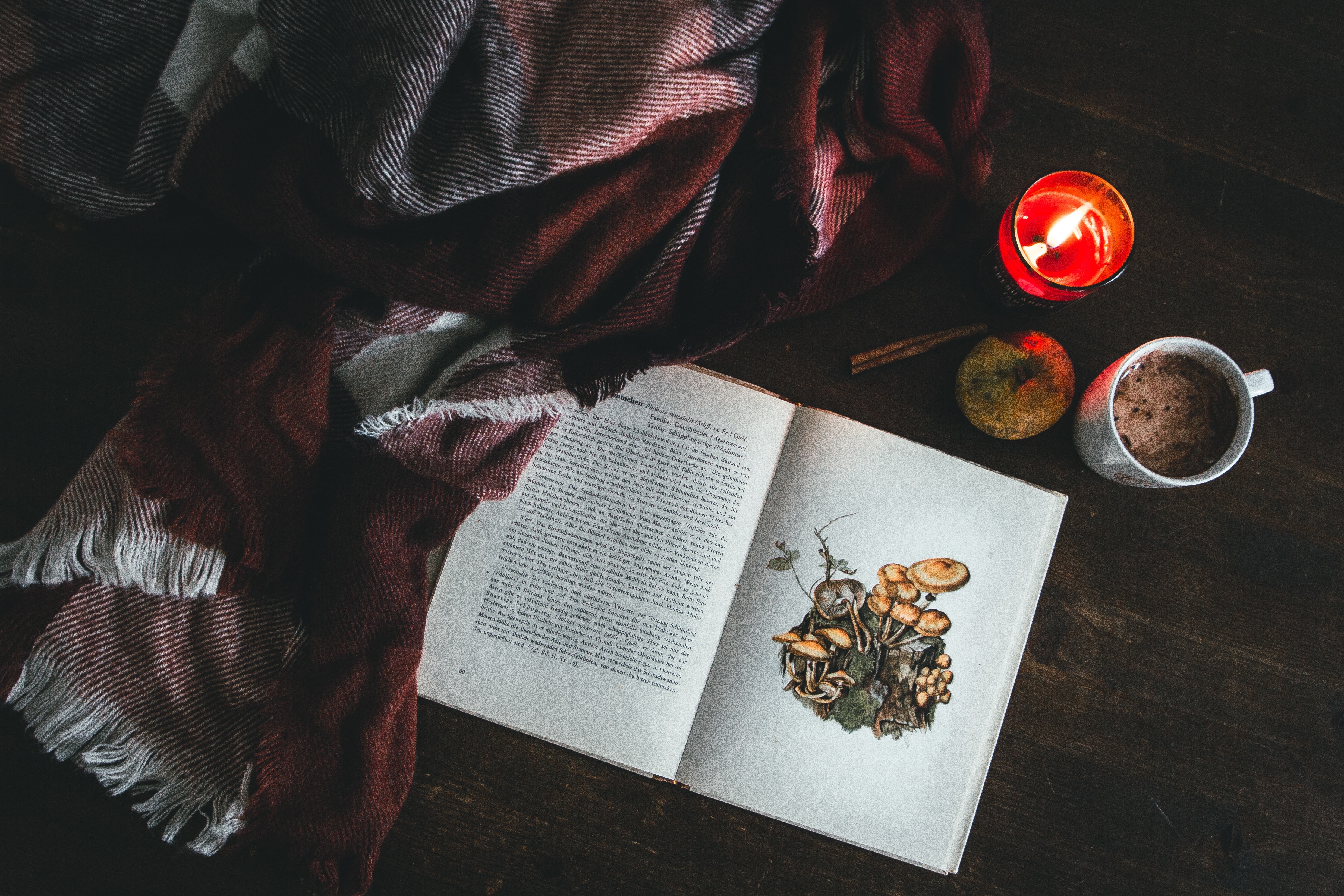 Pros and cons of re-reading books – Lost in the Story